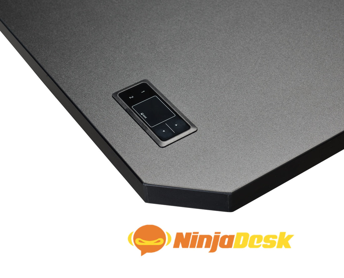 Heavy Duty Standing Gaming Desk | NINJA Professional Extreme